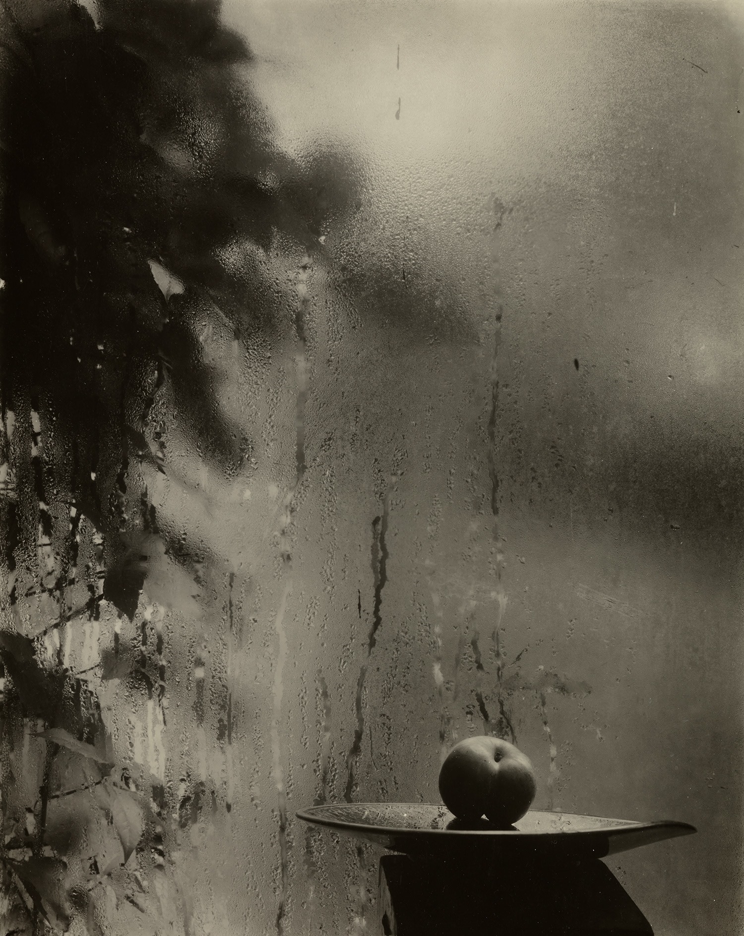 Josef Sudek | Window of My Studio (apple on plate (1944 - 1952) | MutualArt