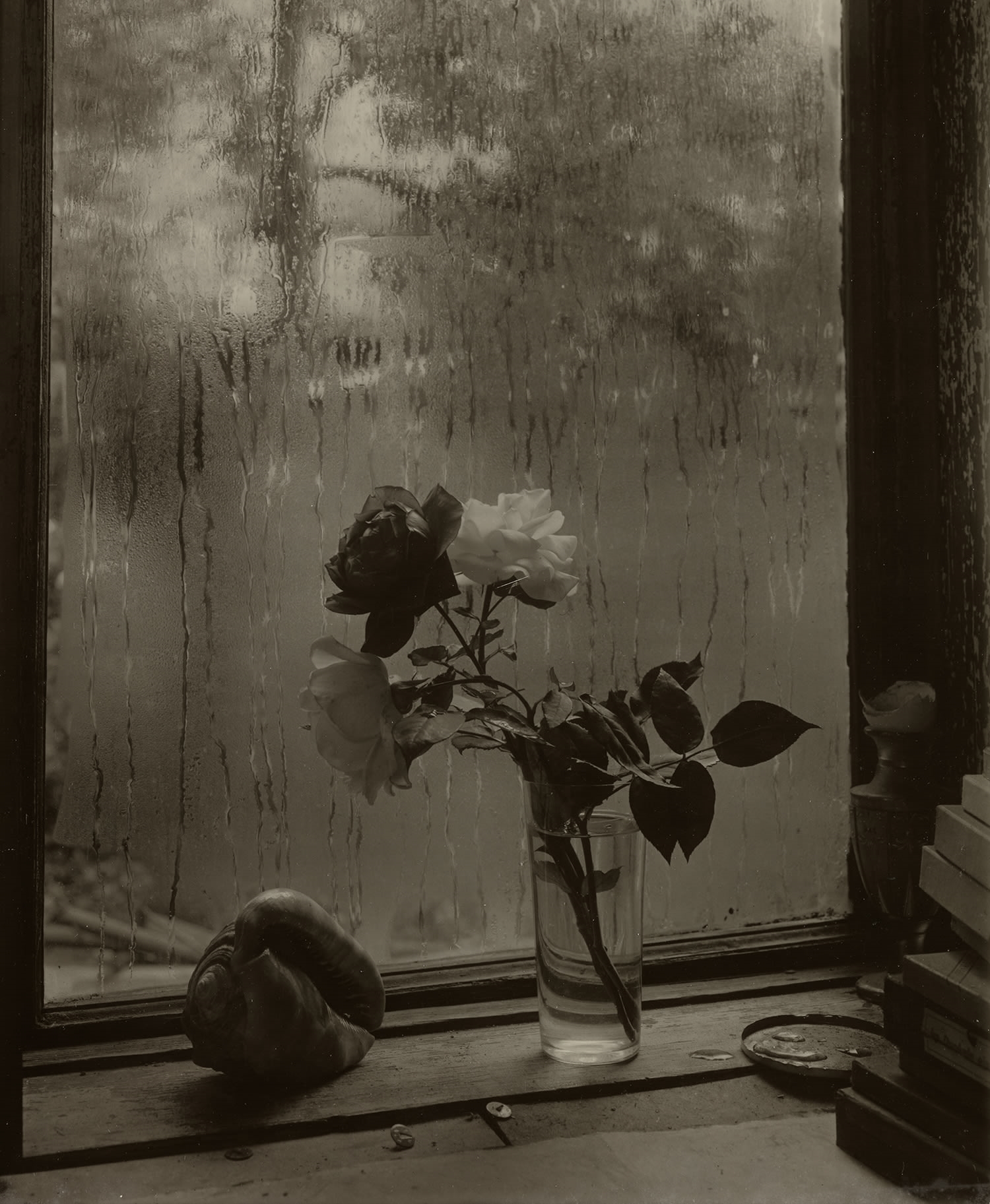 Josef Sudek | Im Zaubergarten / In the magic garden | MutualArt