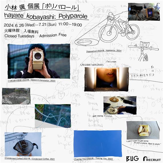 Hayate Kobayashi | Artist Overview | MutualArt