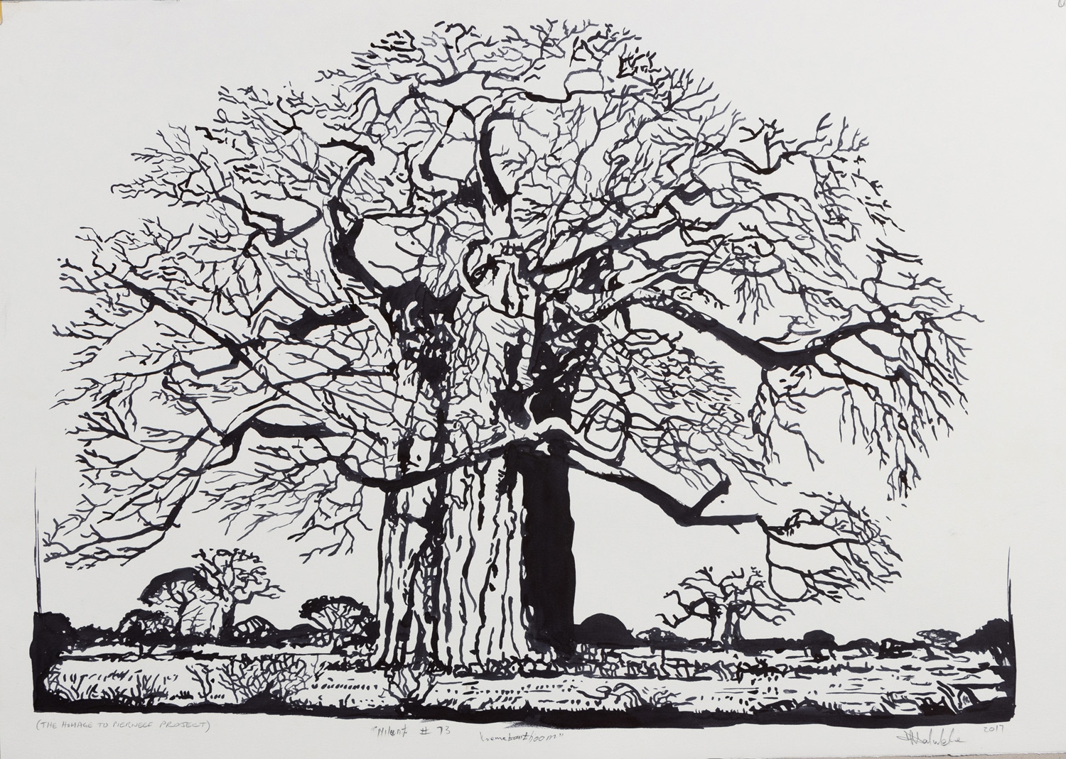 Jacob Hendrik Pierneef | Kremetart Boom/Baobab | MutualArt