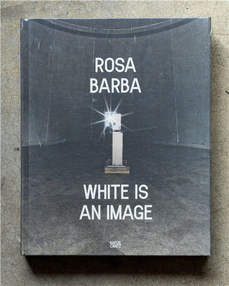 Rosa Barba | White is an image (2011) | MutualArt
