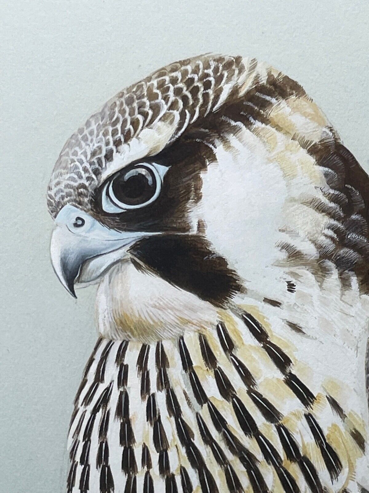 David Johnston | PEREGRINE FALCON WATERCOLOUR PAINTING (1946) | MutualArt