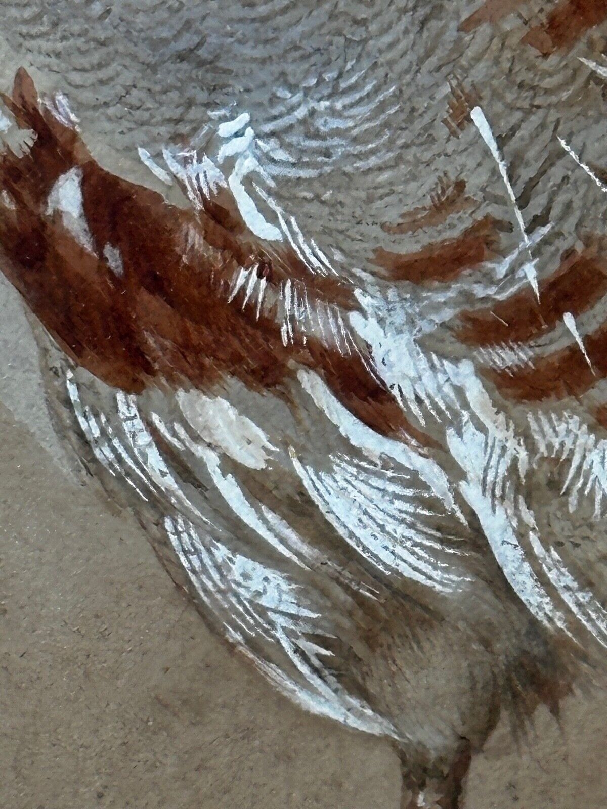 Frank Paton | PARTRIDGE A STUDY WATERCOLOUR PAINTING (Late 19th Century ...