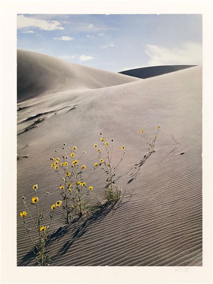 Eliot Porter | Iceland, Portfolio II (Twelve Photographs), 1975 (1975 ...