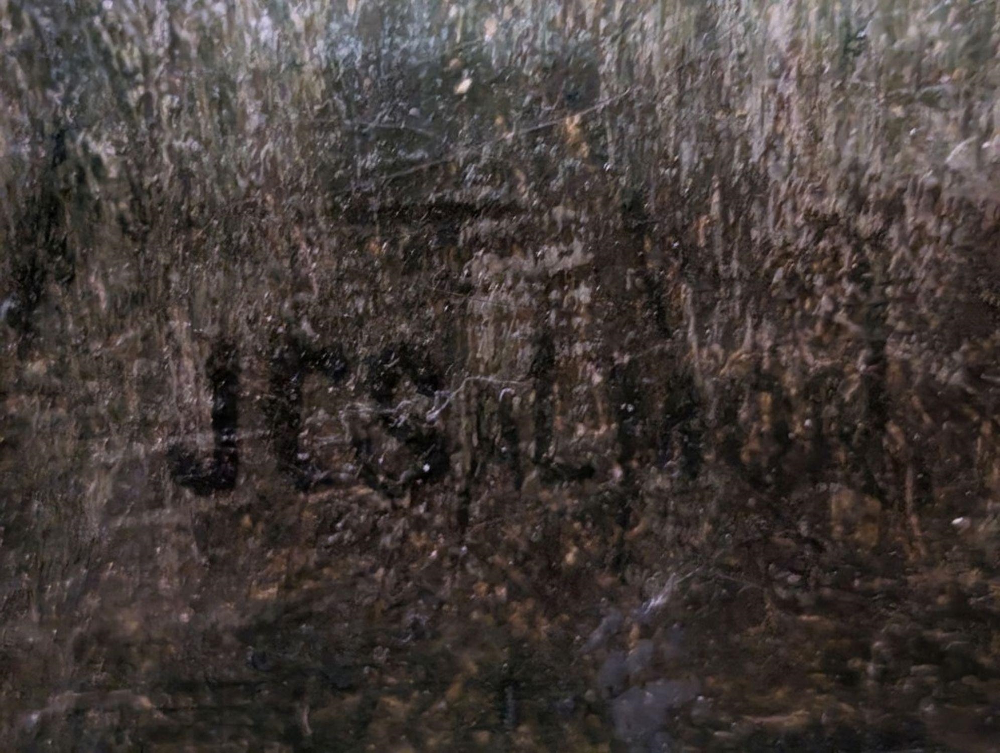 John Cuthbert Salmon | John Cuthbert Salmon (Circa 1890) | MutualArt