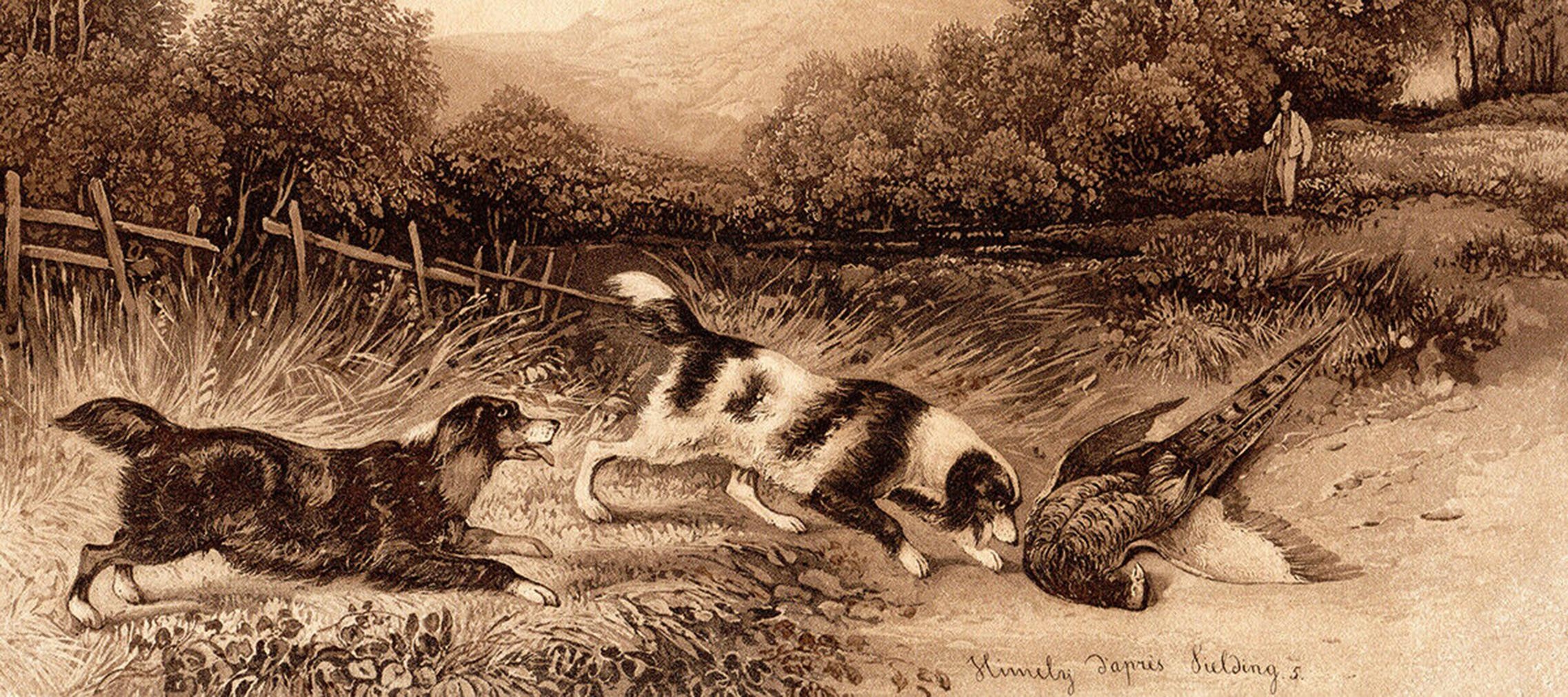 David Fielding | Duck Hunting (1840) | MutualArt