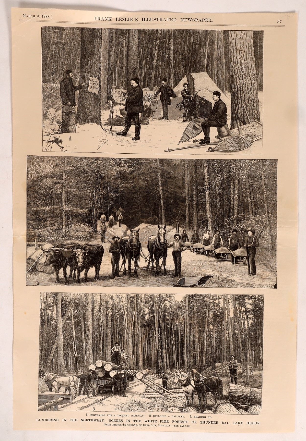 Harper's Weekly | Early Logging Woodcut Engravings (5 (1894) | MutualArt