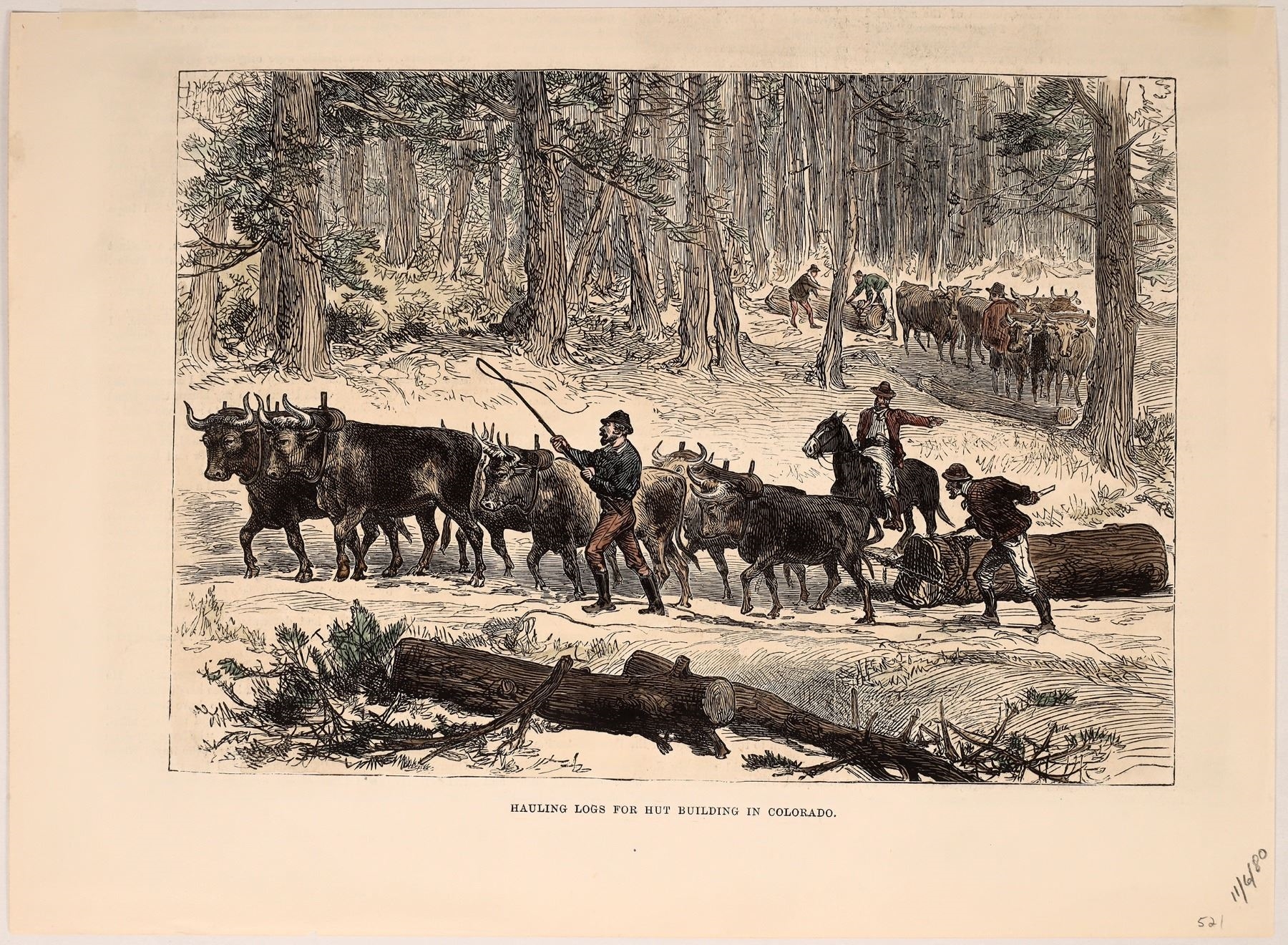 Harper's Weekly | Early Logging Woodcut Engravings (5 (1894) | MutualArt