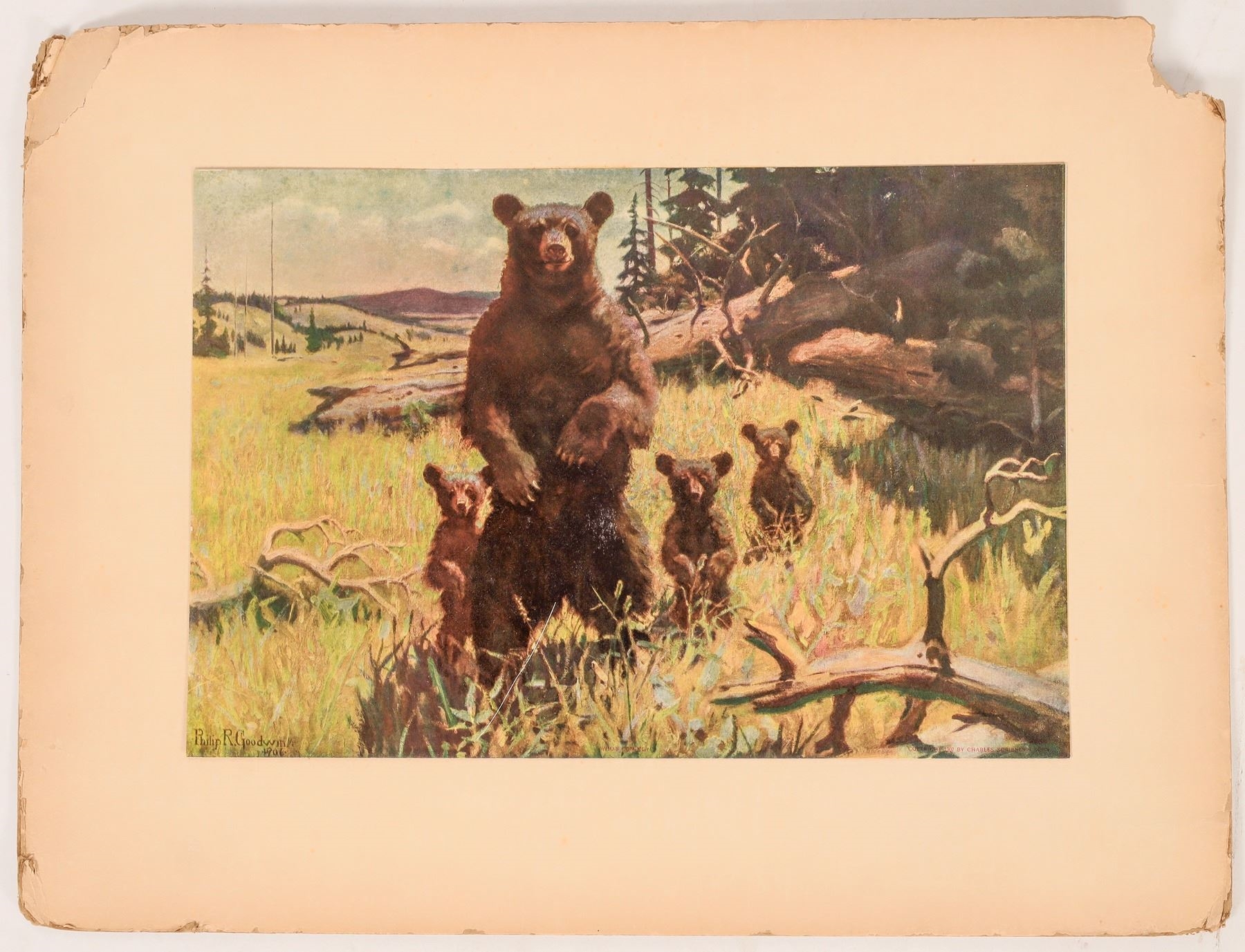 Philip R. Goodwin | Philip Goodwin Grizzly Bear Print (1903) | MutualArt