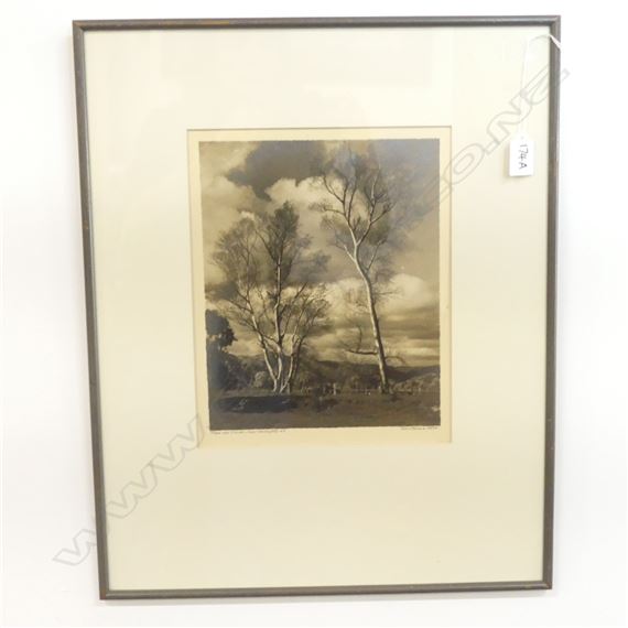 George Chance | TREES AND CLOUDS, WELLINGTON | MutualArt