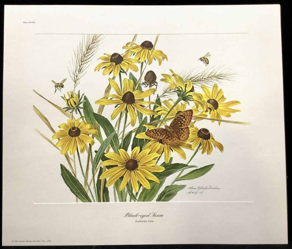 Anne Ophelia Todd‏ Dowden | Black-eyed Susan | MutualArt