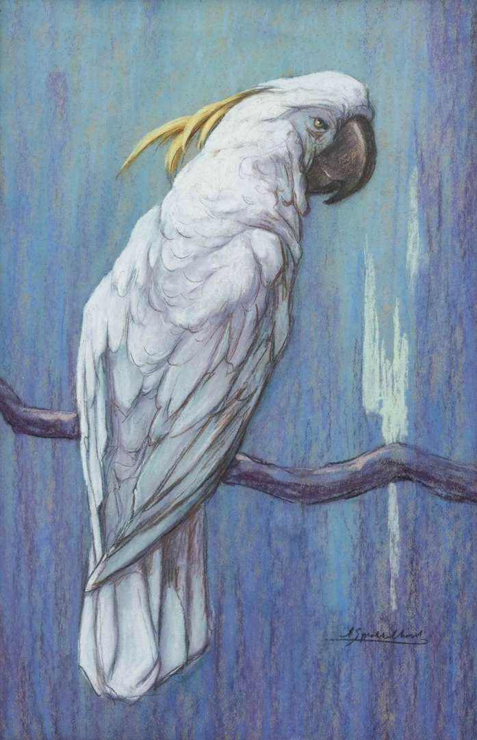 Albert Klein Sprokkelhorst | Kleine geelkuifkaketoe op een tak | MutualArt