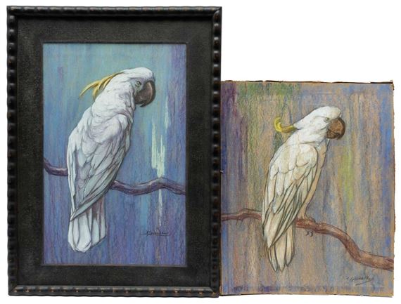 Albert Klein Sprokkelhorst | Kleine geelkuifkaketoe op een tak | MutualArt