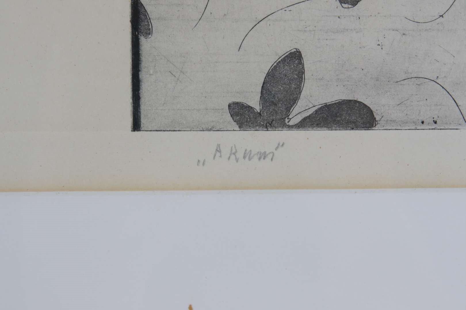 Alphons Freijmuth | Arum (1973 | MutualArt