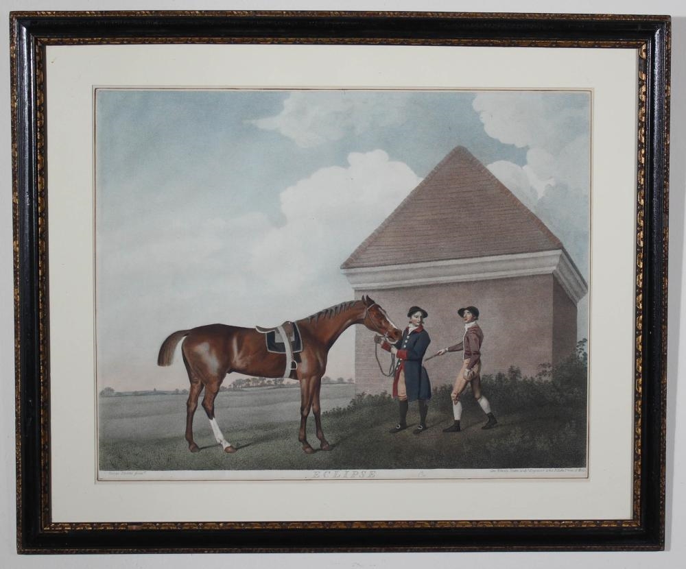 George Stubbs | Volunteer | MutualArt