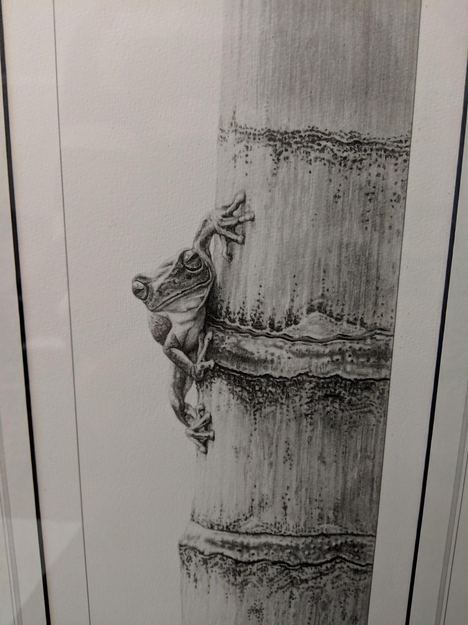 Gary Hodges | Gary Hodges - Tree Frog | MutualArt