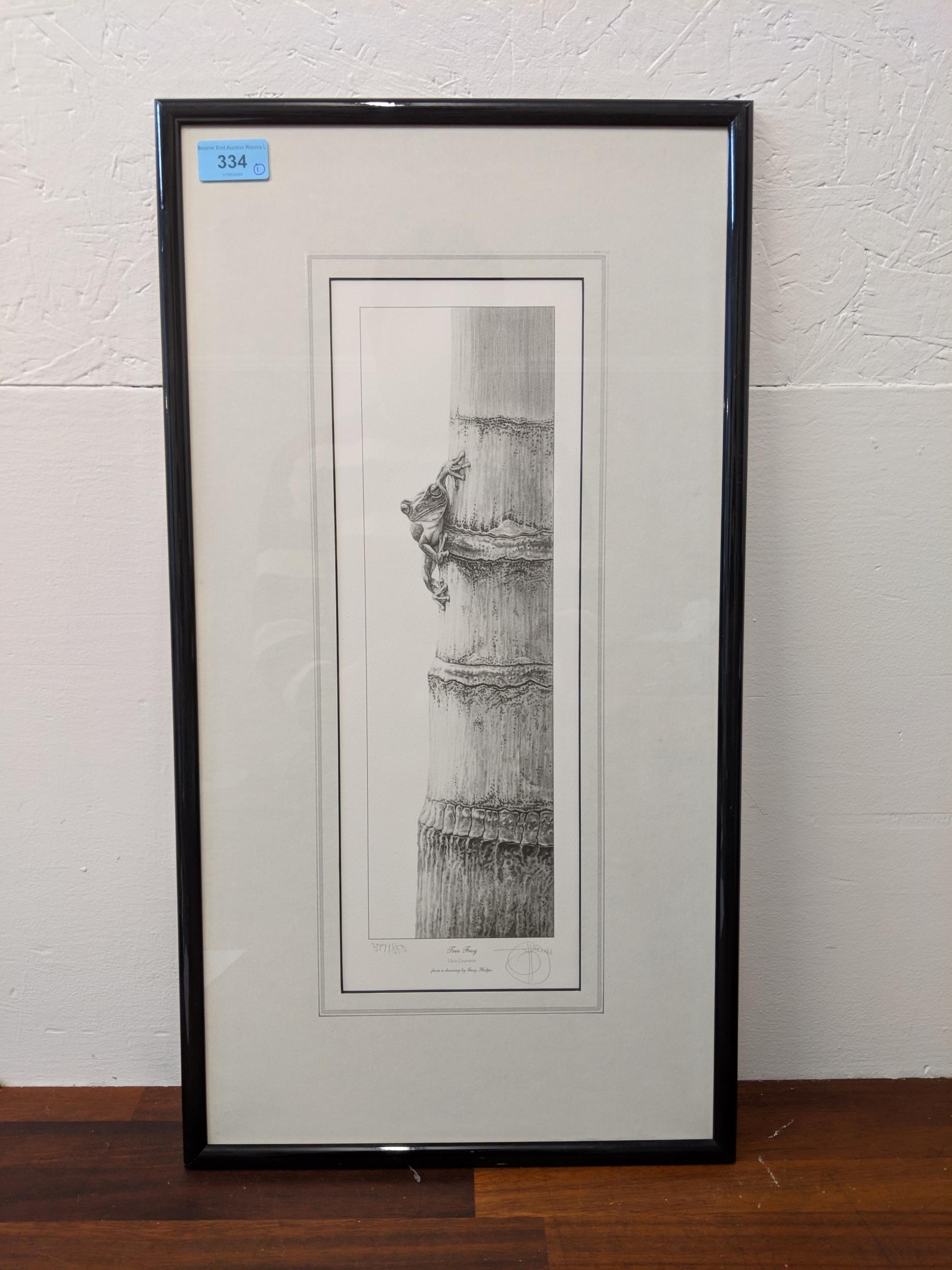 Gary Hodges | Gary Hodges - Tree Frog | MutualArt