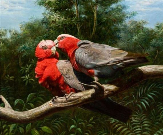 Ted Ward | Painting of Galah Birds, Ted Ward | MutualArt