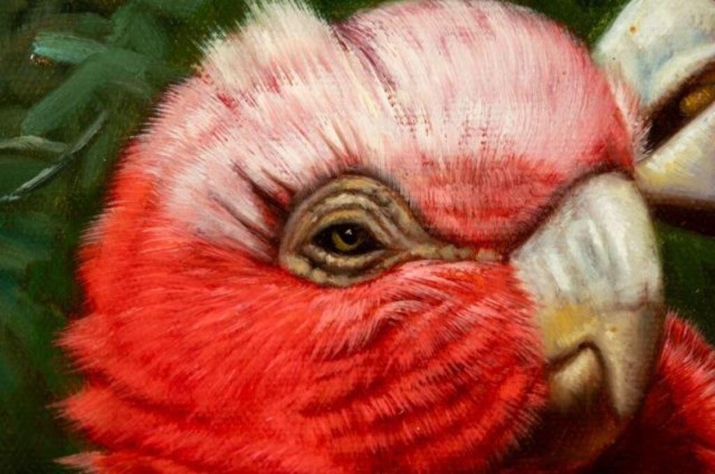 Ted Ward | Painting of Galah Birds, Ted Ward | MutualArt