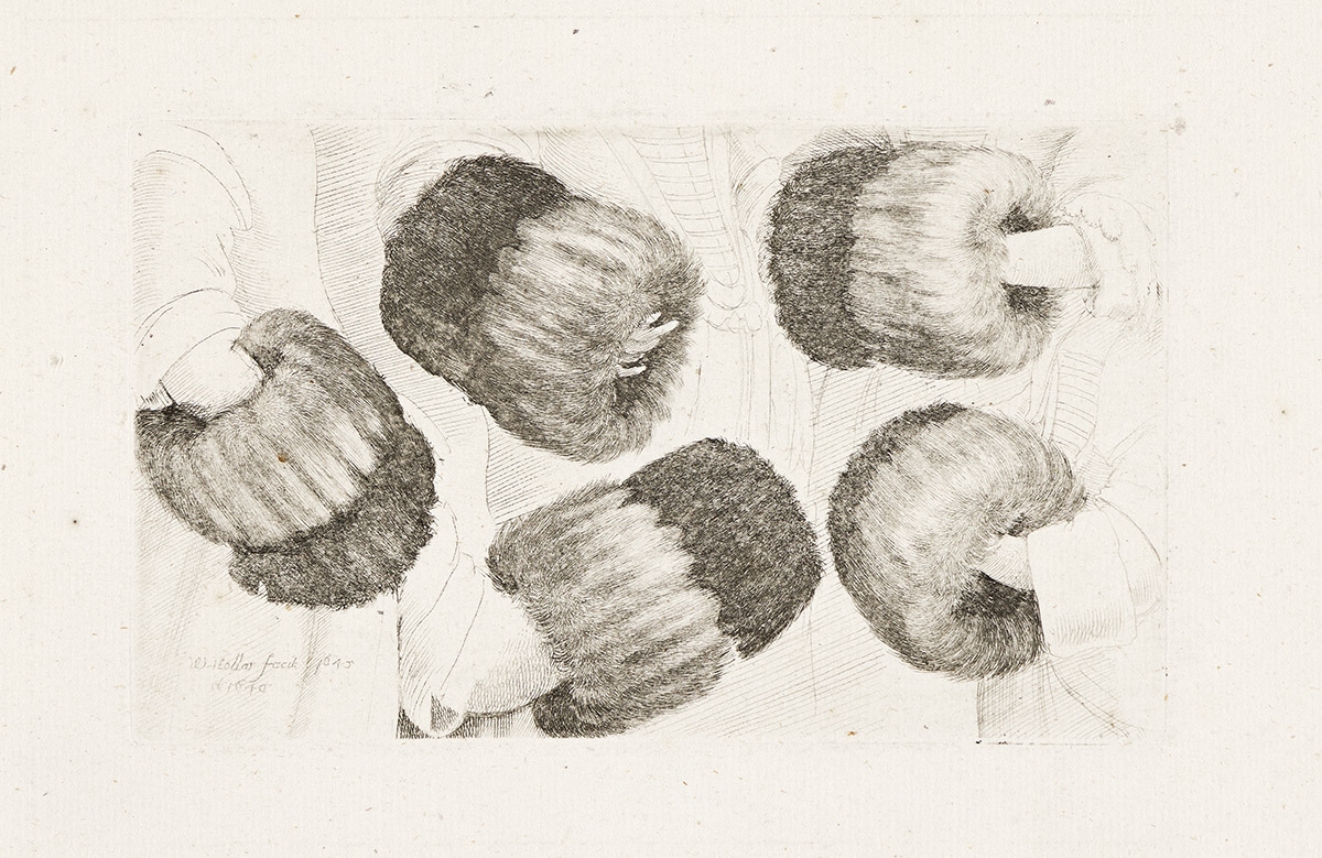 Wenceslaus Hollar | A Muff in Five Views. (1645 - 1646) | MutualArt