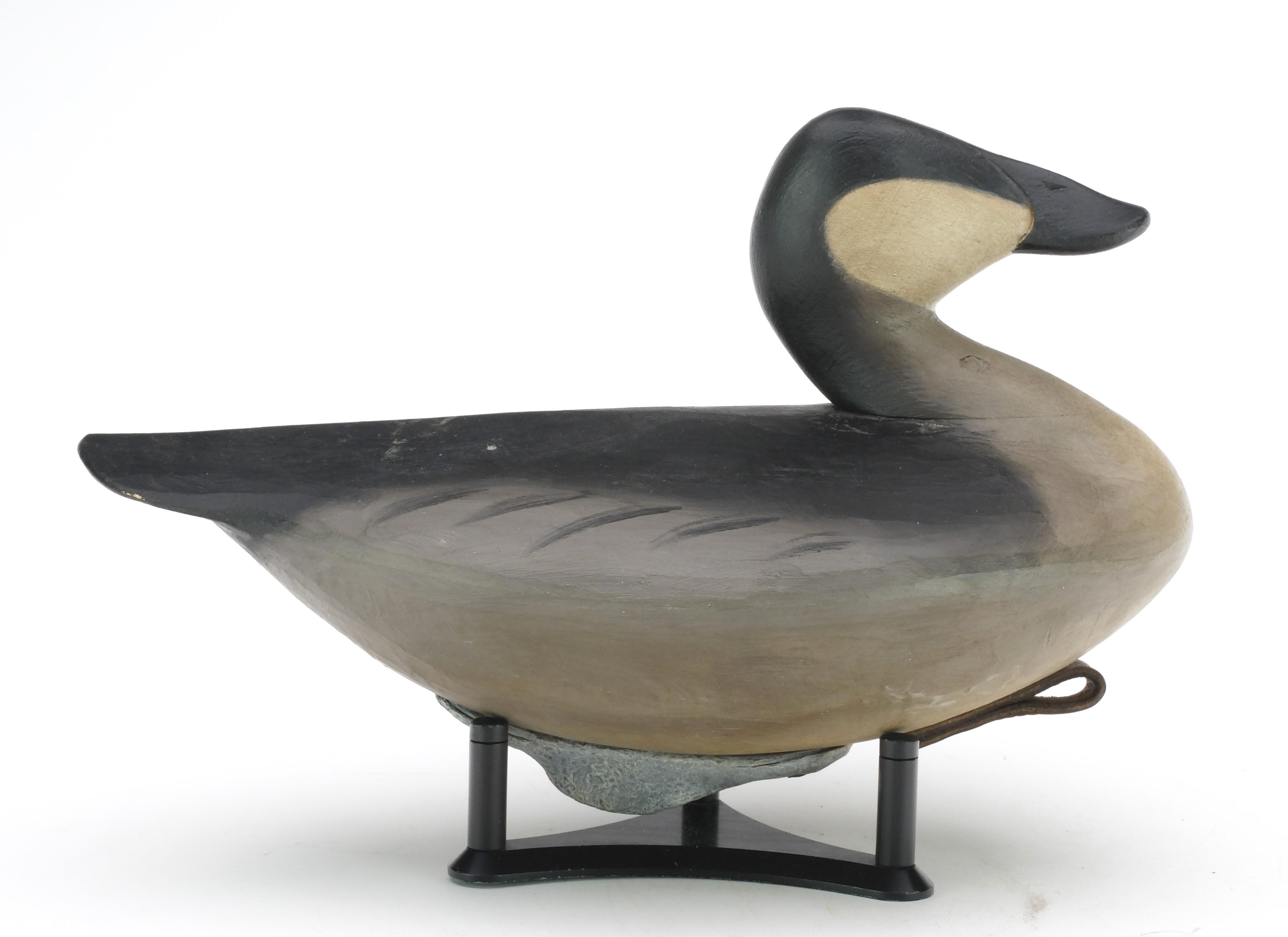 Pete Peterson | Ruddy duck (2007) | MutualArt