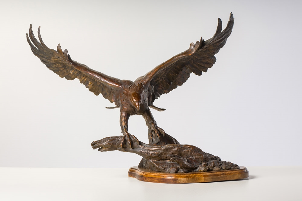 Sandy Scott | Eagle Landing (2008) | MutualArt