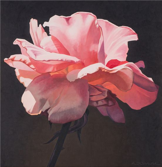 Ed Mell | Pink Rose | MutualArt