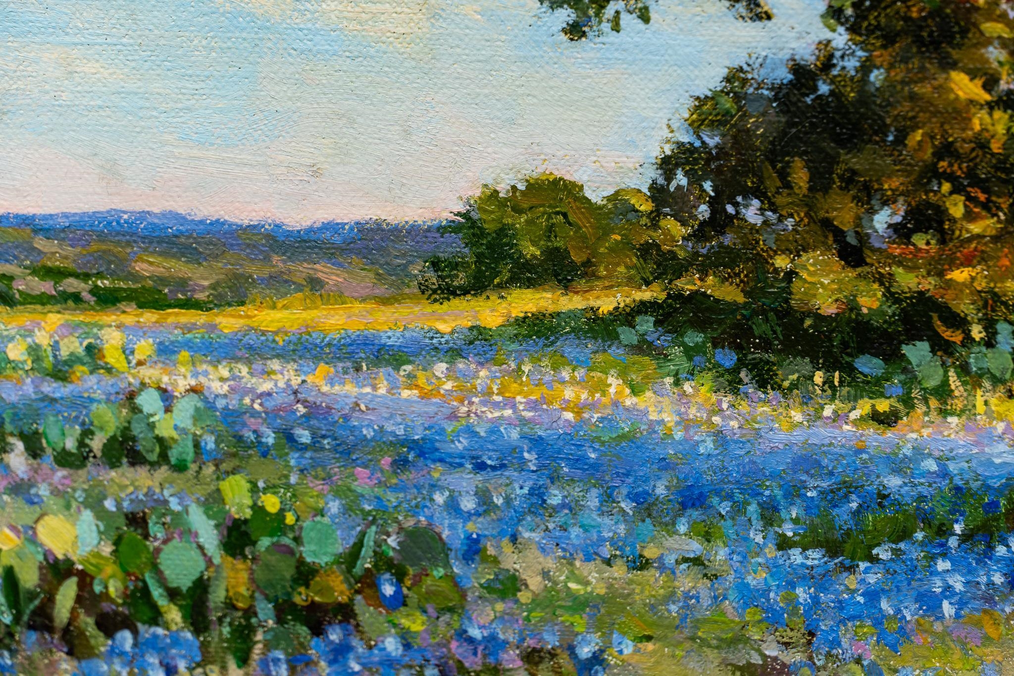 Mark Haworth | Hill Country Bluebonnets | MutualArt