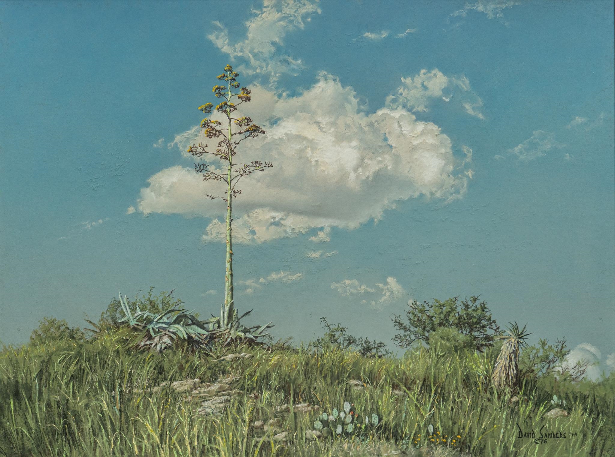 David Sanders | Blooming Century Plant (1976) | MutualArt