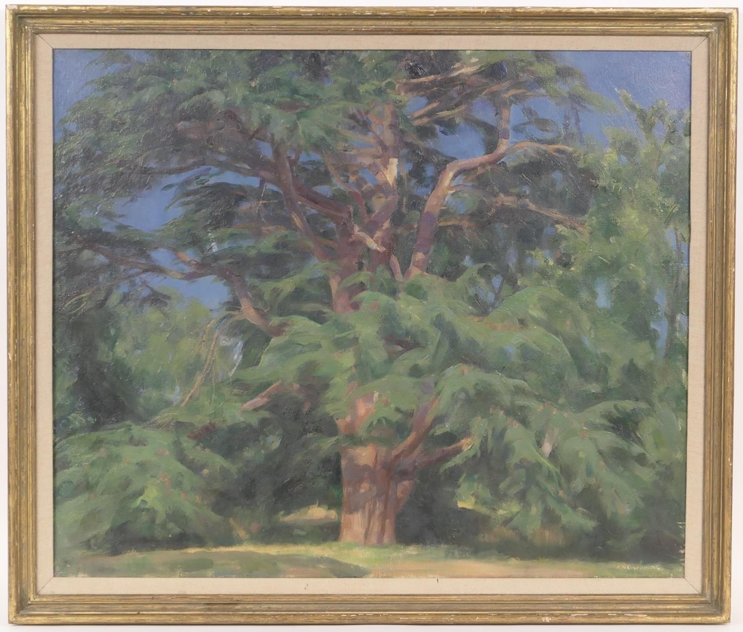 Amy Katherine Browning | Cedar tree of Lebanon | MutualArt