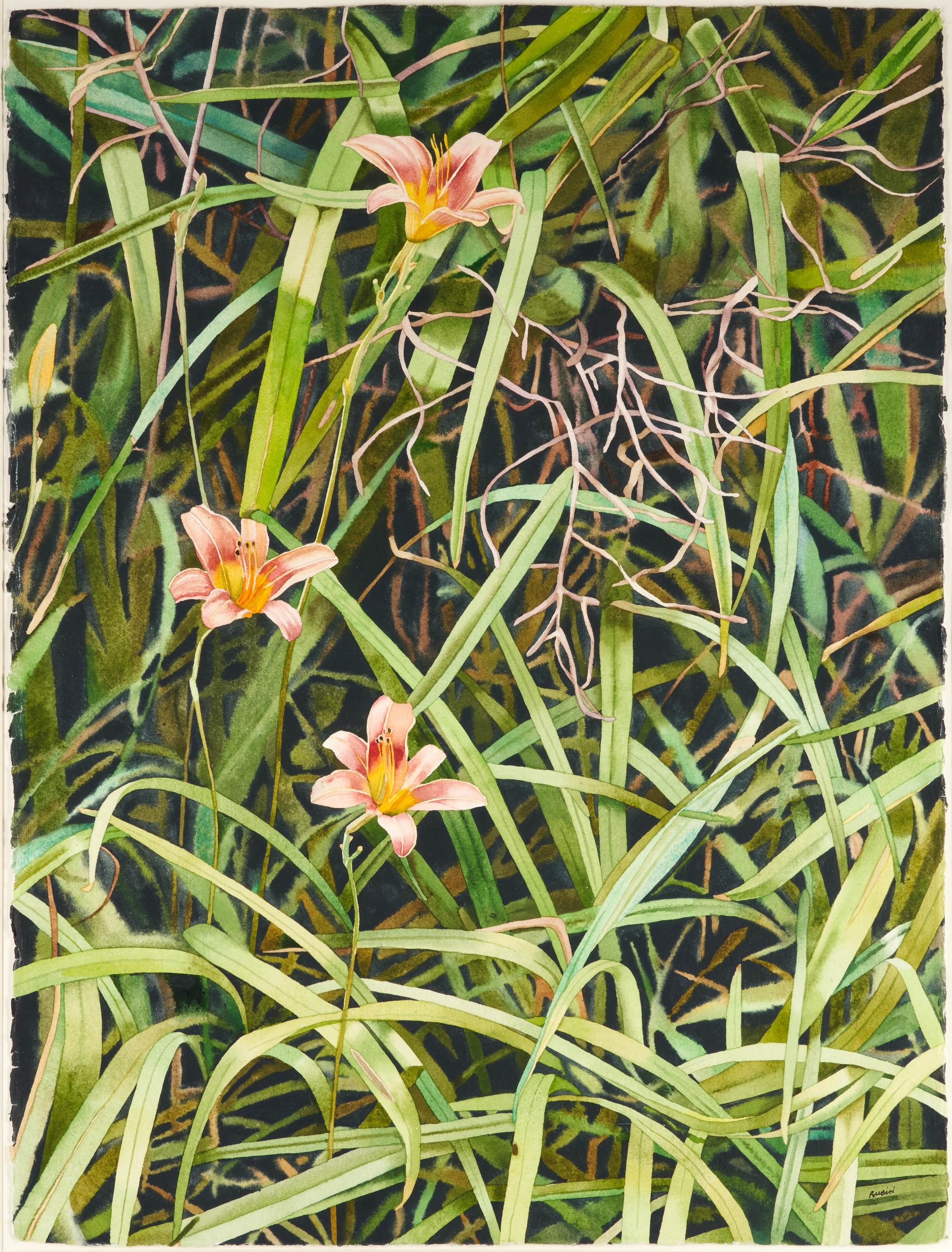Deborah Rubin | TIGER LILIES | MutualArt