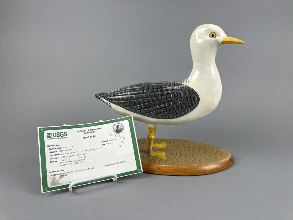 Carl F. Christiansen | Seagull | MutualArt