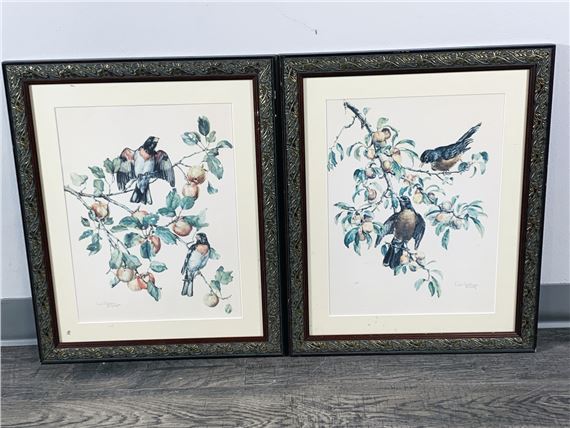 Cecil Golding | CECIL GOLDING FRAMED ORNITHOLOGY BIRD PRINTS | MutualArt