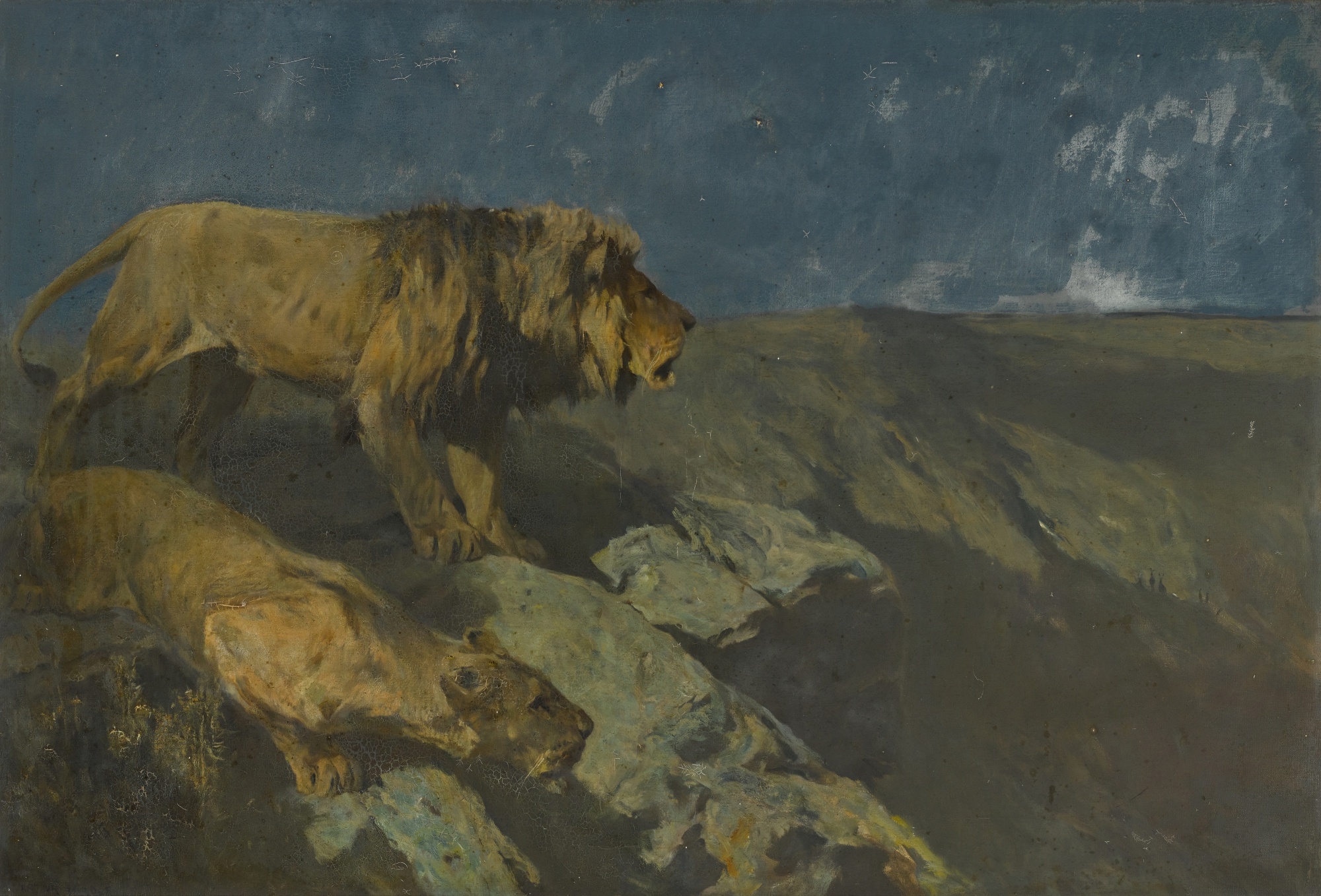 Arthur Wardle | Waiting for master, a wire coated fox terrier | MutualArt