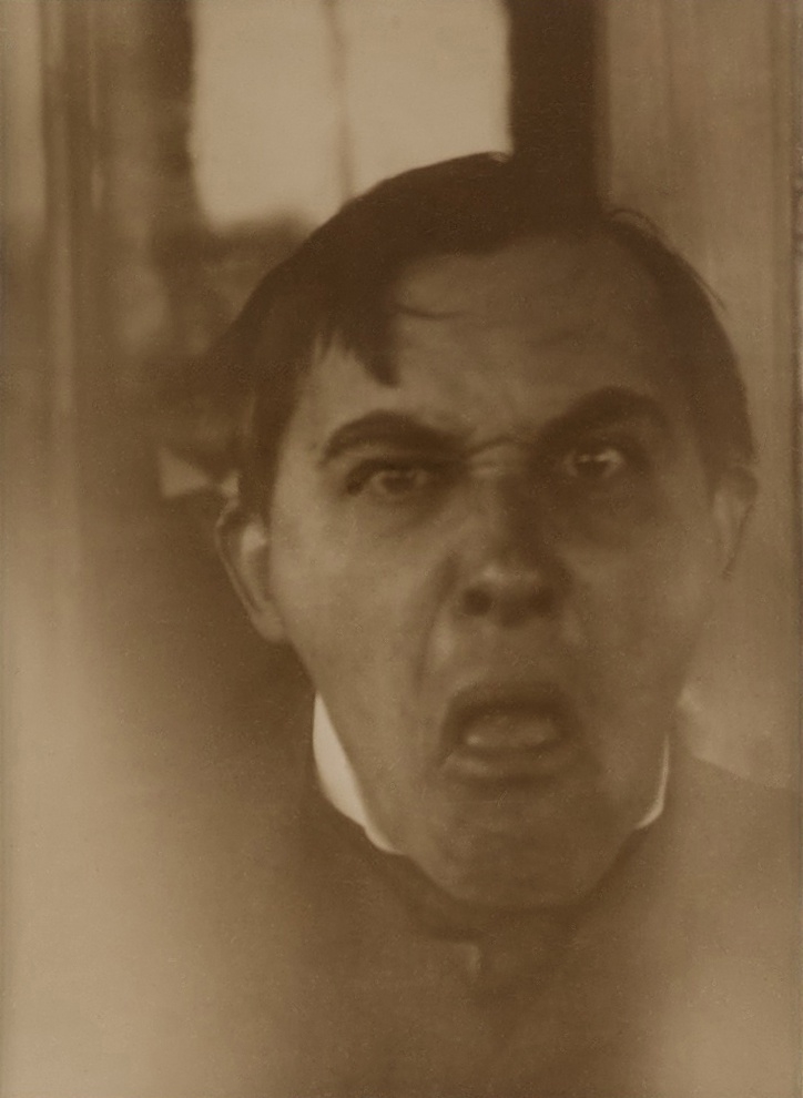 Stanislaw Ignacy Witkiewicz | Woman's portrait (1938) | MutualArt