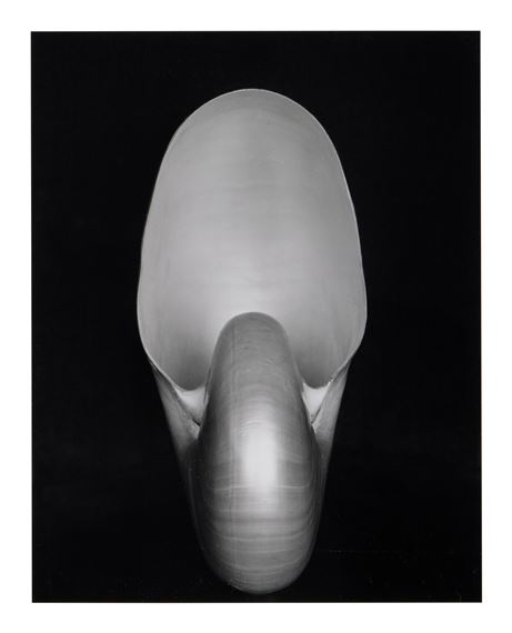 Edward Weston Pulqueria Charrito 1926 Mutualart
