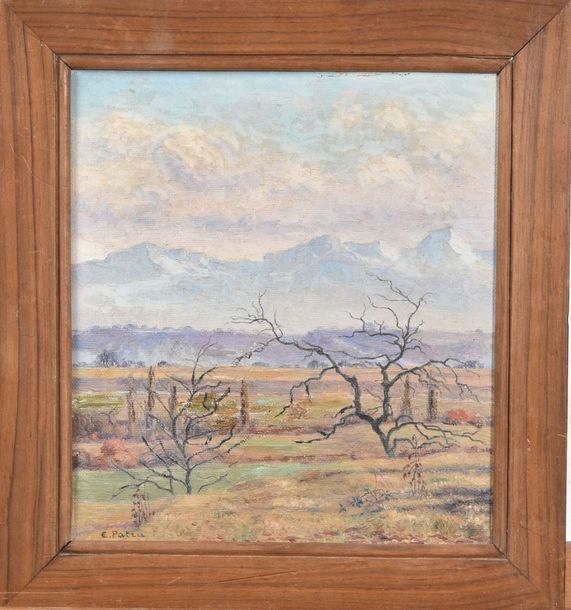 Emile Patru | Paysage des Alpes | MutualArt