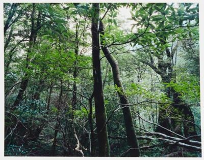 Thomas Struth | Wangfujing Dong Lu, Shanghai | MutualArt