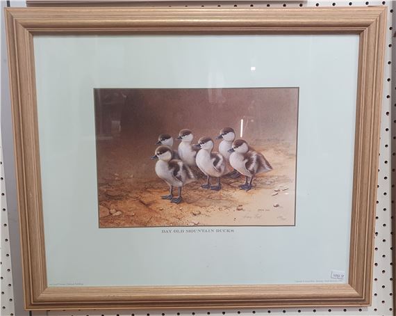 Jeremy Boot | Day Old Mountain Ducks | MutualArt