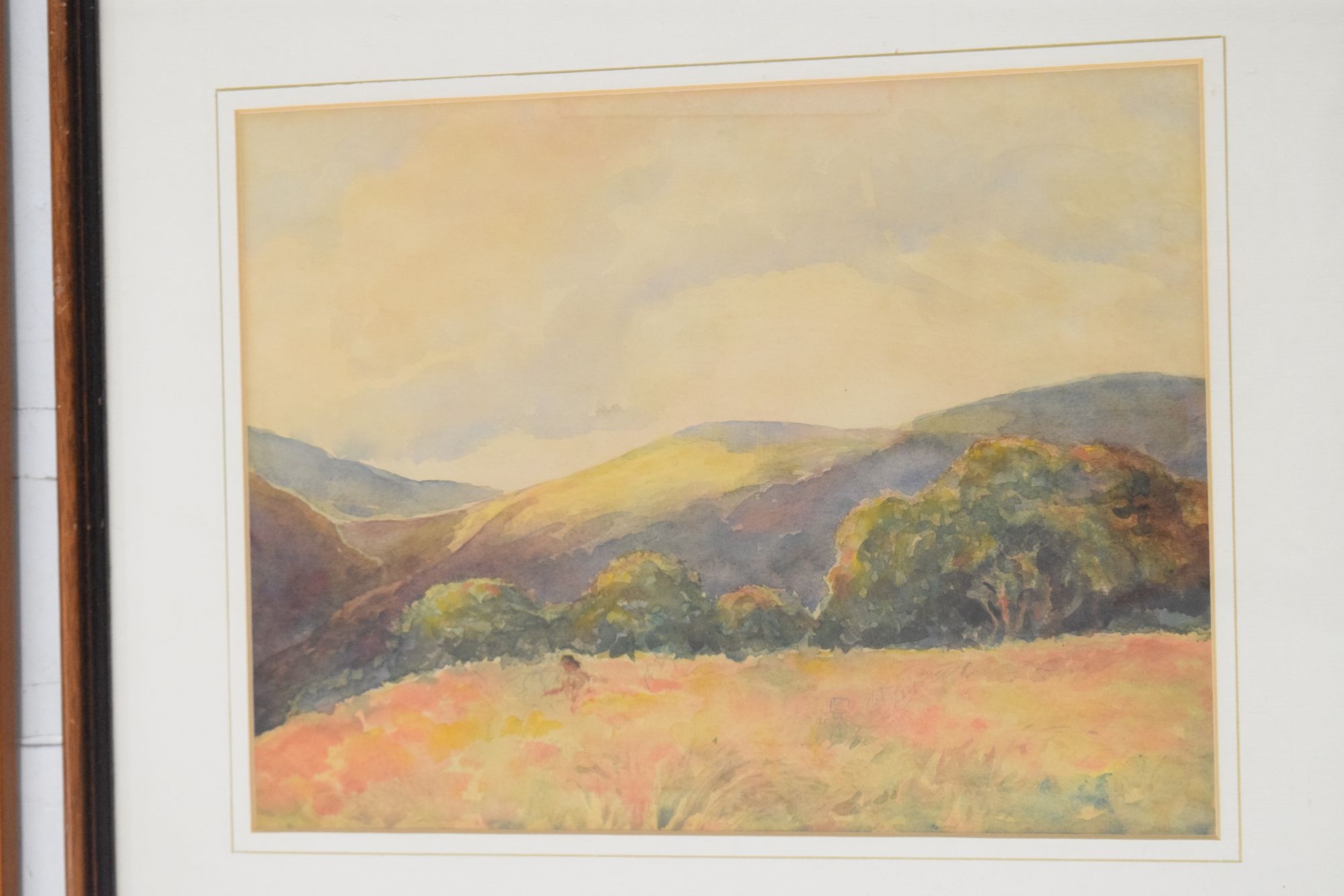 Richard Joyce | North Wales landscapes | MutualArt