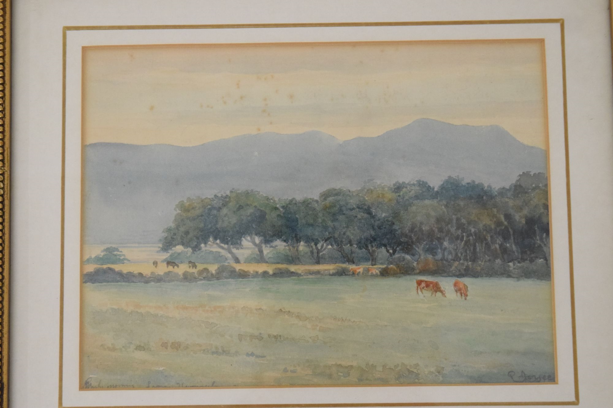Richard Joyce | North Wales landscapes | MutualArt