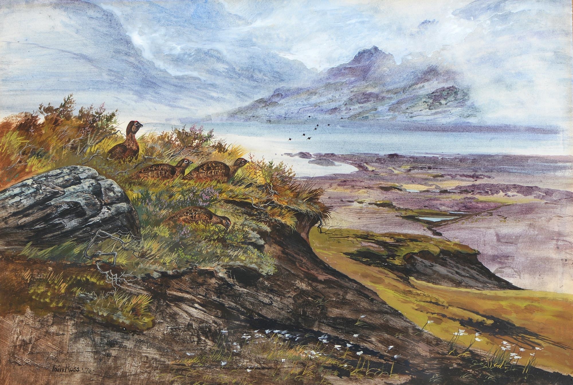 Iain Ross | Black Grouse in the Scottish Highlands (76) | MutualArt