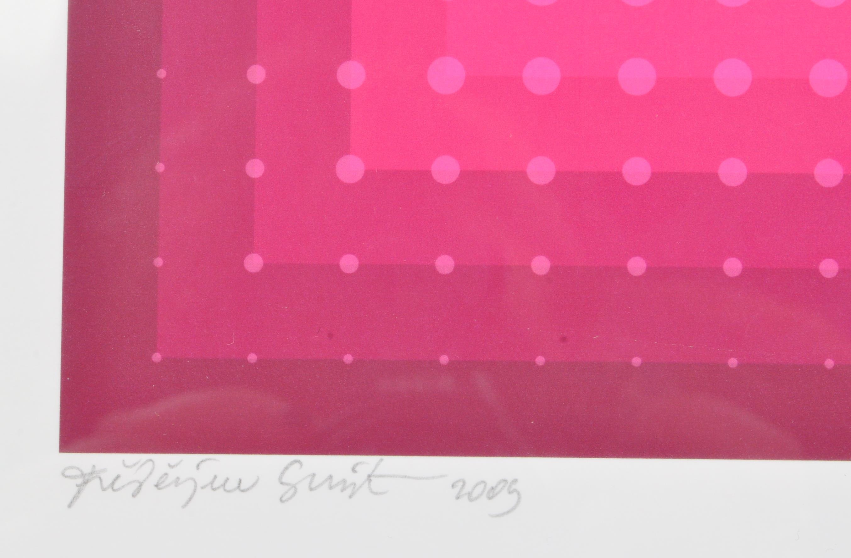 Frédérique Swist | FRÉDÉRIQUE SWIST ARTIST PROOF PRINT - 2009 | MutualArt