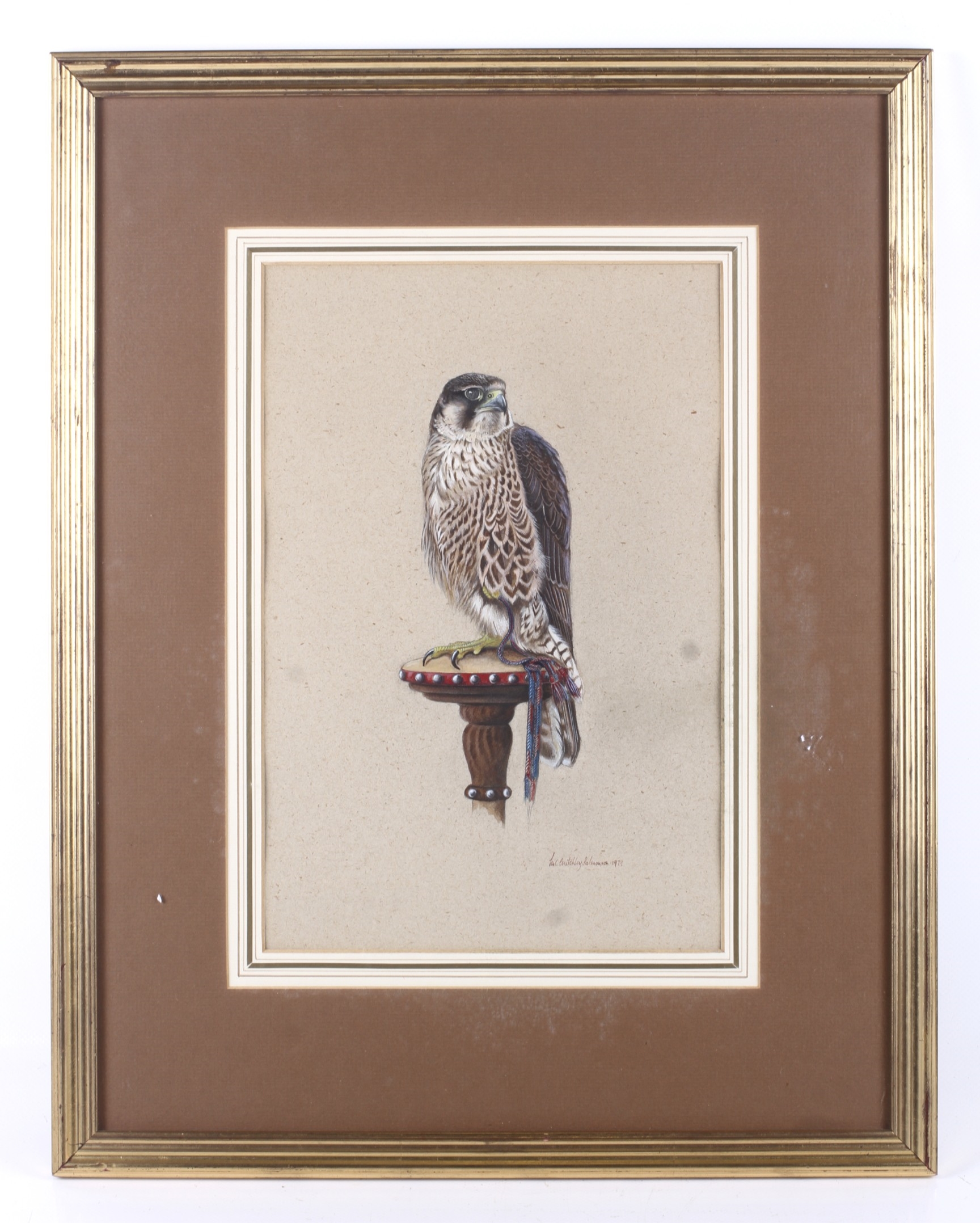 Mary Clare Critchley-Salmonson | Mary Clare Critchley-Salmonson ...