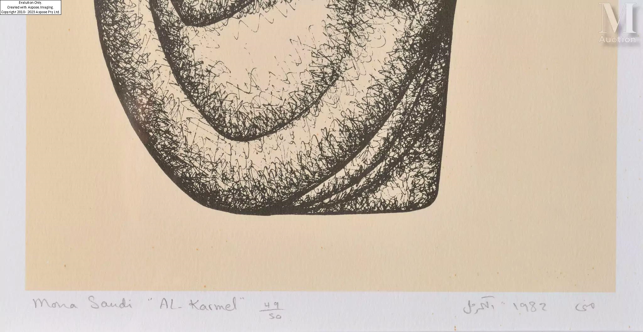 Mona Saudi | Al Karmel | MutualArt