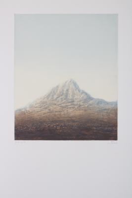 Assad | 1 Artworks at Auction | MutualArt