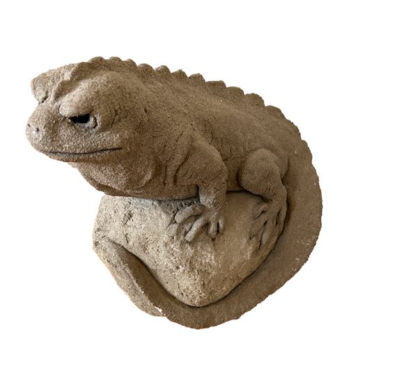 Lou Rankin | Lou Rankin Concrete Iguana | MutualArt