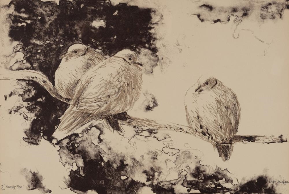 Sam Black | gull colony | MutualArt