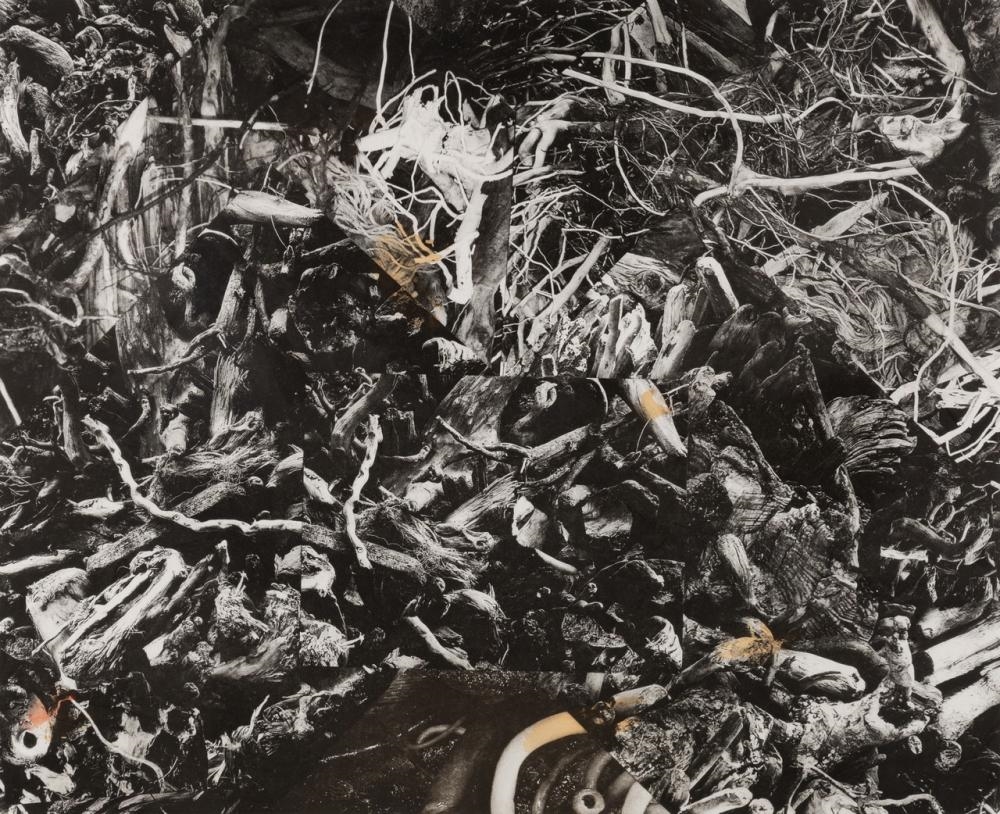 Gordon Appelbe Smith | Beach Jungle | MutualArt