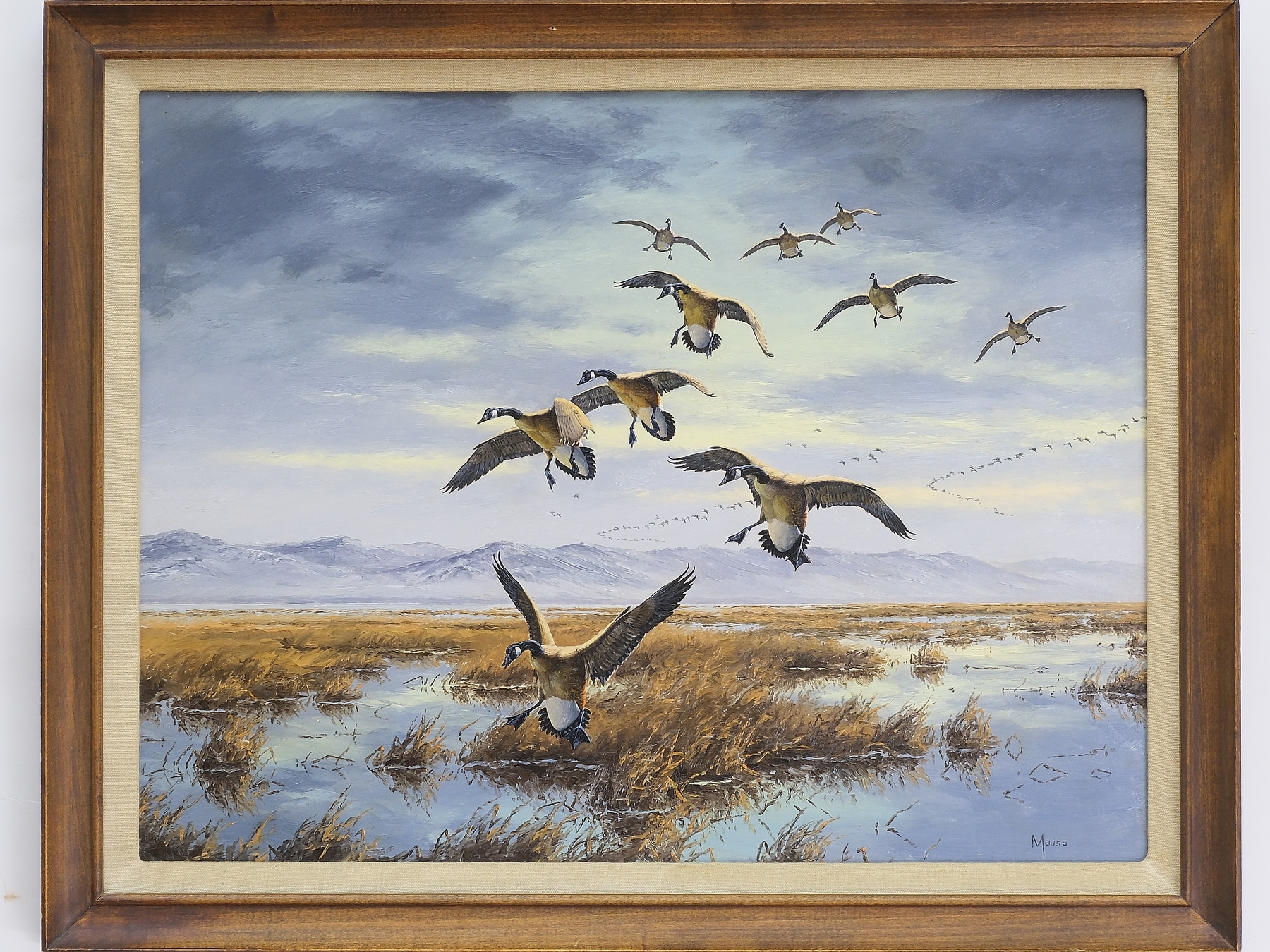 David Maass | Flocks of geese landing in flooded valley | MutualArt